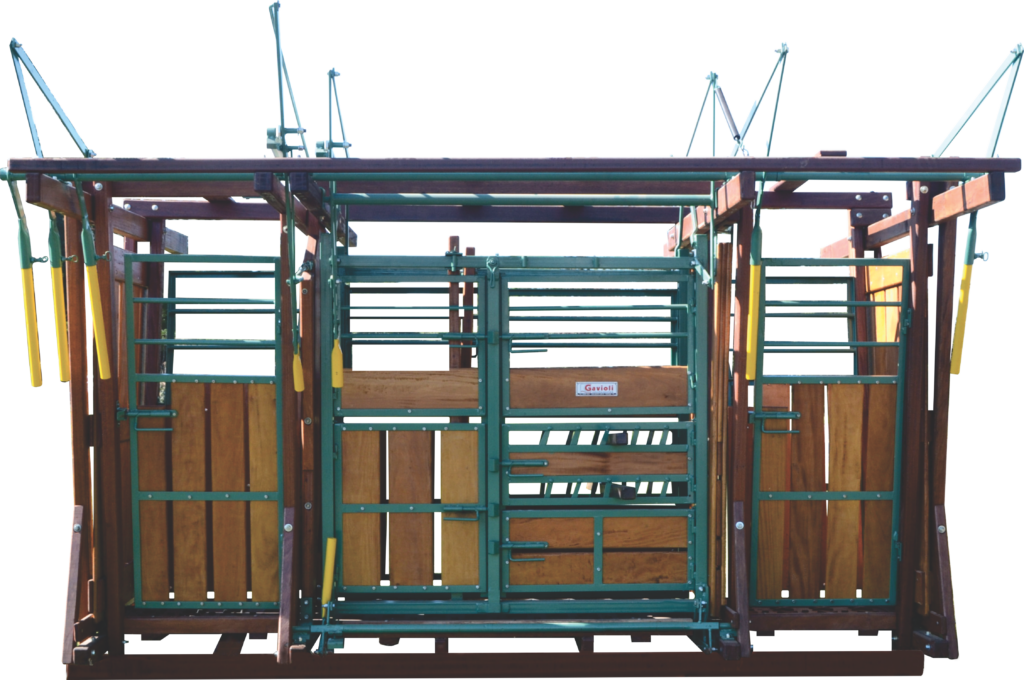 Brete / Tronco de contenção: Entenda a Importância na Pecuária ...